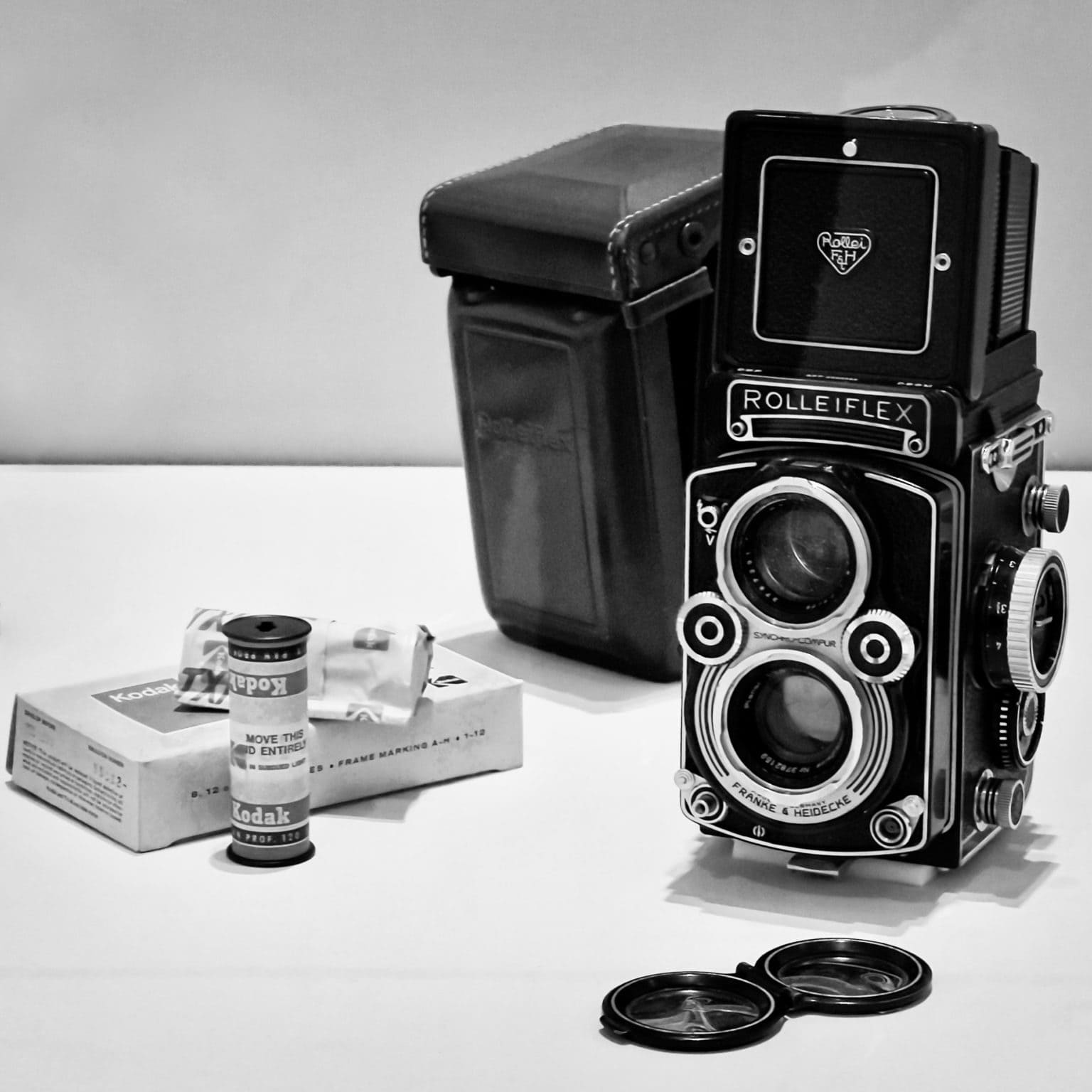 Vivian Maier and The White Bear - A Flash Of Darkness