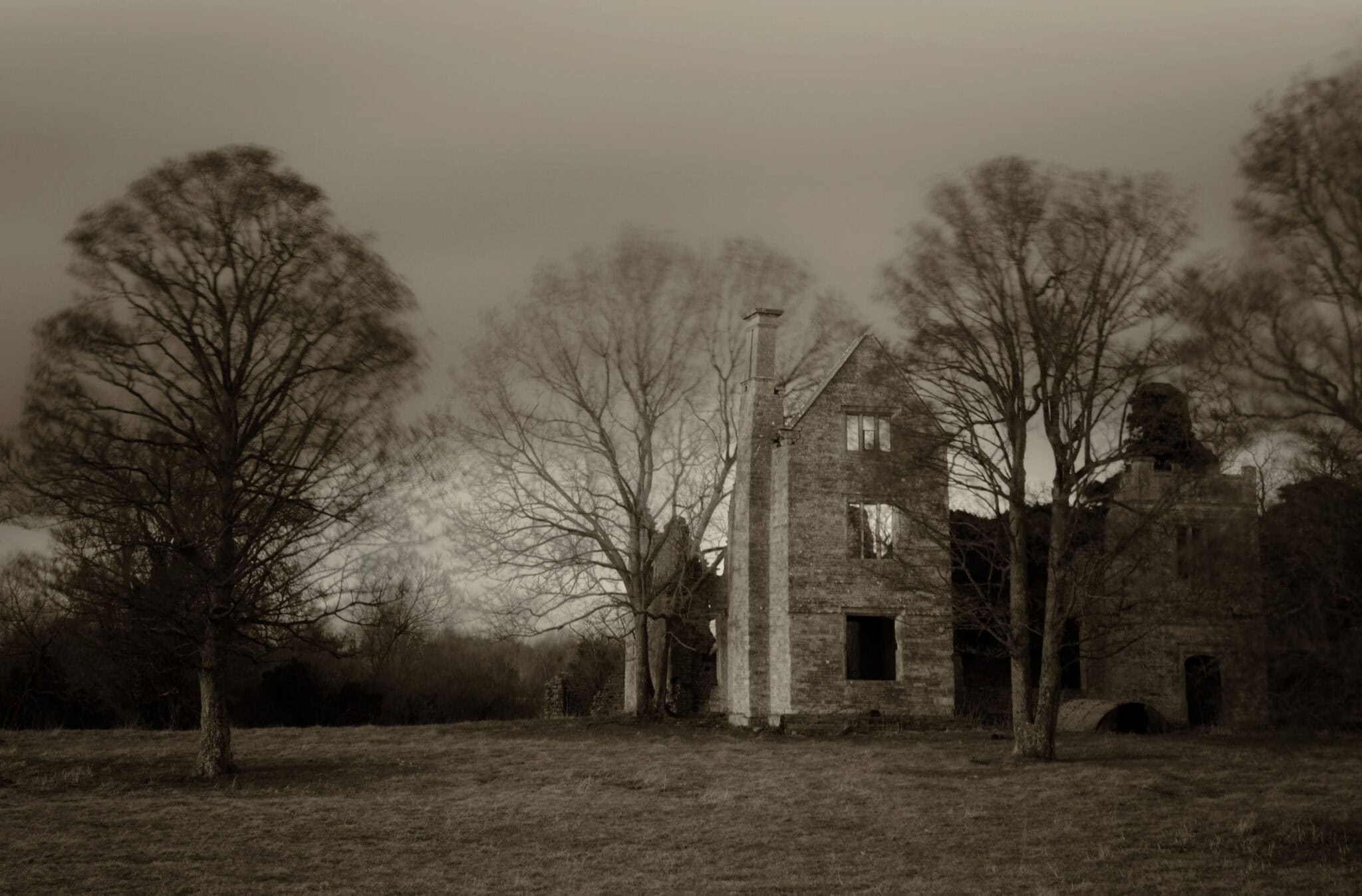 From Wet to Dry: The Gelatin Dry Plate Era, 1870s–1900s - A Flash Of ...